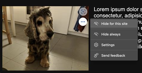 Removing The Camera Overlay Icon On Images In Microsoft Edge Christian Heilmann
