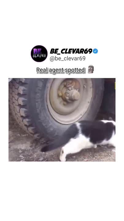 Ahsan Khan On Linkedin Definition Of Ghost Bug 🤡