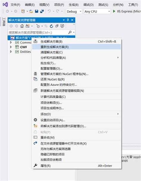 iis上部署你的asp core web api项目及swagger 图文 代码部落