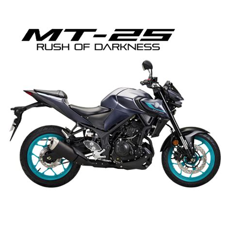 Yamaha Mt25 Heap Hing Motor