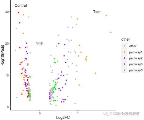 不好好作图的ncs系列四：ggplot2绘制多彩火山图转录组差异基因火山图绘制 R语言ggplot Csdn博客
