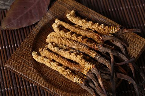 冬虫夏草高清图片下载 正版图片500496799 摄图网