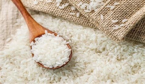 Nigeria Inaugurates New Soybean Processing Plant And Refinery Milling Middle East And Africa