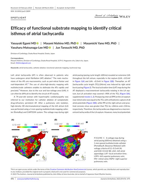 Pdf Efficacy Of Functional Substrate Mapping To Identify Critical Isthmus Of Atrial Tachycardia