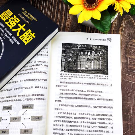 全两册最强大脑 超级记忆术超级学习力提升宝典思维导图全脑开发逻辑思考力超级记忆术最强大脑思维风暴形式逻辑思维训练书籍 虎窝淘