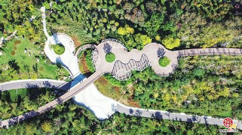 济南深秋美景“上线”凤凰网山东凤凰网
