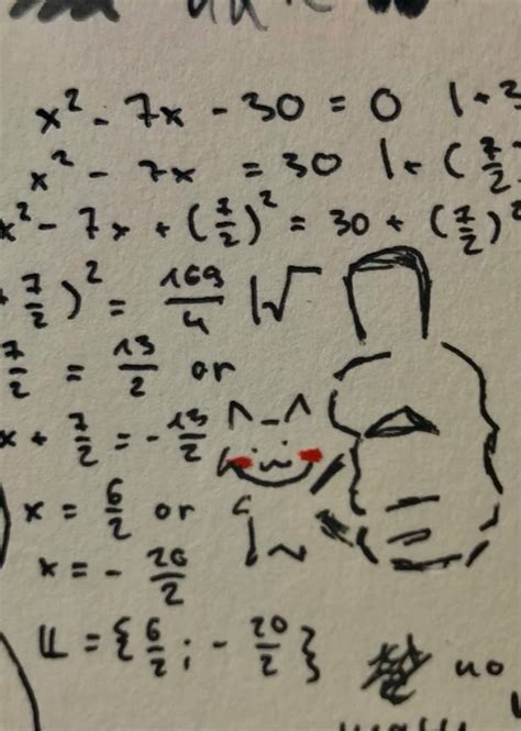 Math Doodle Art With Cat Sketch