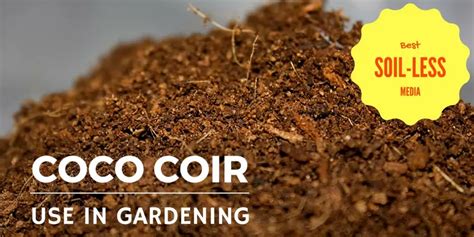 What Is Coco Coir And How To Use It In Gardening