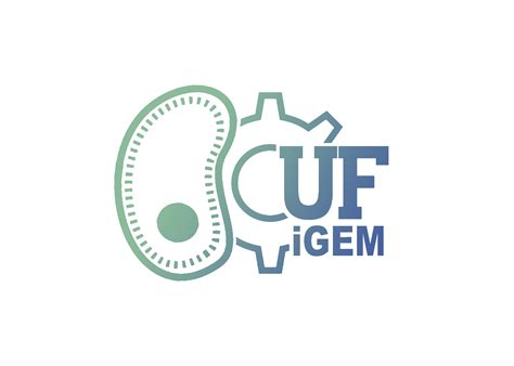 Uflorida Igem 2024