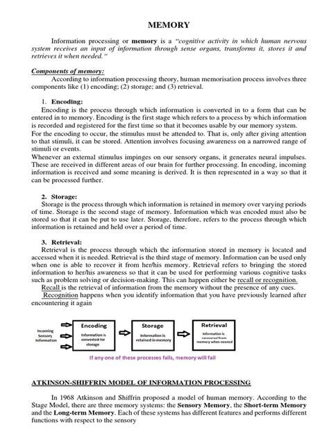 Memory Part 1 Pdf Memory Recall Memory