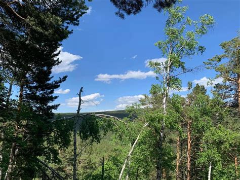 Тогмидын Доржханд