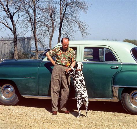 Sloth Unleashed — Via Hubert And Sally 1952 [detail] Shorpy