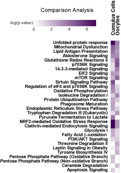 Comparison Analysis Between The Top Altered Pathways In Ccs And In Download Scientific Diagram