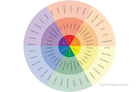 Primary Emotions Their Types And Functions