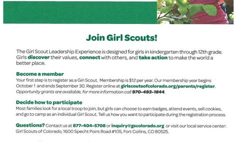 Girl Scout Recruitment Flyer Template Free 1st Incredibly Design