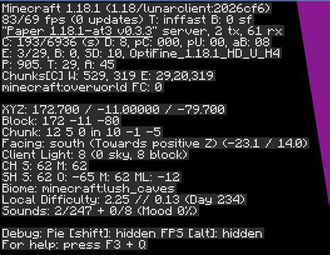 Bug On Hypixel Smp Rhypixel
