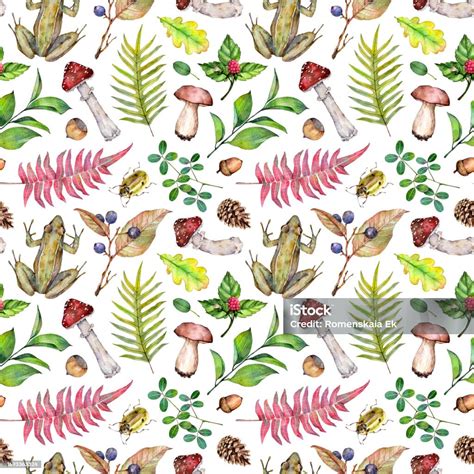 나뭇잎 가지 버섯 개구리 양치류 딱정벌레가 있는 수채화 이음매 없는 패턴 손으로 그린 숲 그림은 흰색 배경에 분리되어 있다 가을에 대한 스톡 벡터 아트 및 기타 이미지