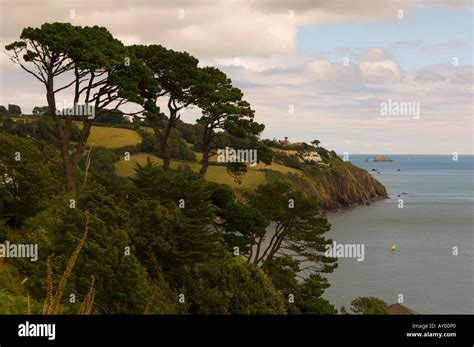 Beautiful Scenery On The South Devon Coastline Devon England Stock