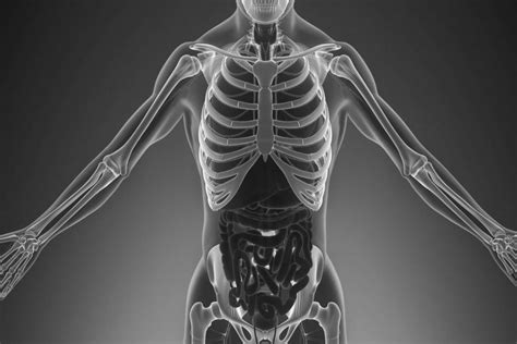 Radiofréquence Osseuse Océan Imagerie