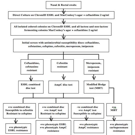 Pdf Screening For Extended Spectrum β Lactamases Ampc And Carbapenemases Producing Bacteria