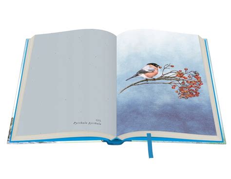 Купить Планировщик КАЛЕНДАРЬ ПТИЦ 2023 ГОД ПРИРОДЫ календарь отзывы фото и характеристики на