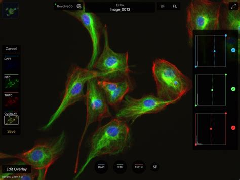 Echo Pro By Echo Laboratories