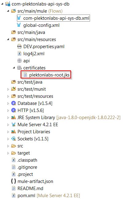 MuleSoft MsSQL JDBC Connection Over SSL