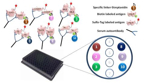 Video A High Throughput Multiplexed Screening For Type 1 Diabetes