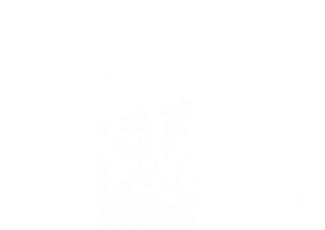 Gross Epicardial Topography Of The Atriums Cardiac Anatomy For Electrophysiologist