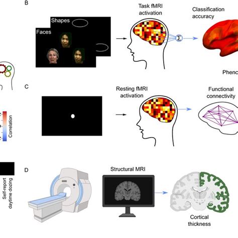 Study Summary A Shows The Partial Correlation Map Between The Tested