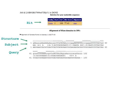 Ppt Rna Structure Prediction Powerpoint Presentation Free Download