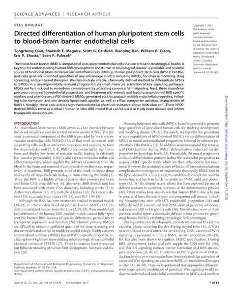 Pdf Directed Differentiation Of Human Pluripotent Stem Cells €¦ · Under A Creative Commons