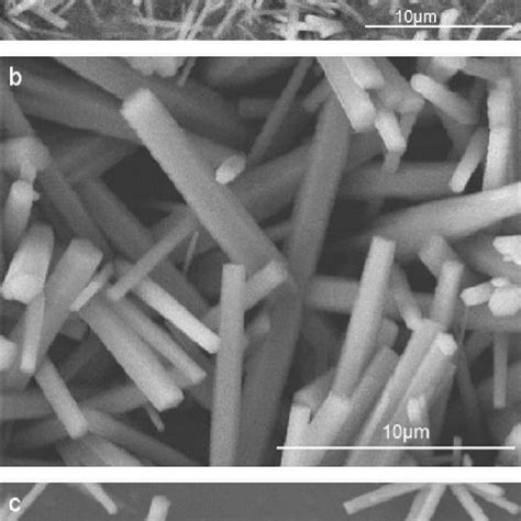 A Top View Scanning Electron Micrograph Of Zno Nanostructure Download Scientific Diagram