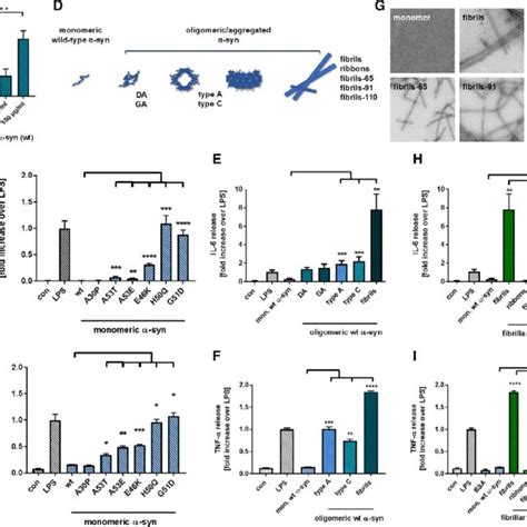 Recombinant α Synuclein α Syn Species For Treatment Of Innate Immune Download Scientific