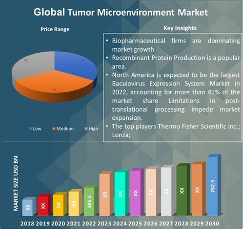 Baculovirus Expression System Market Size Share And Report 2030