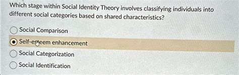 video solution which stage within social identity theory involves