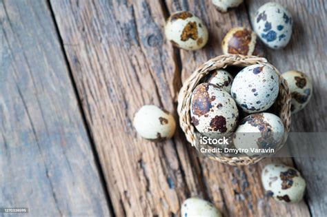 약간의 고리버들 바구니에 계란을 메추라 맨 위 보기입니다 공간을 복사합니다 가금류에 대한 스톡 사진 및 기타 이미지 가금류 건강한 식생활 날것 Istock