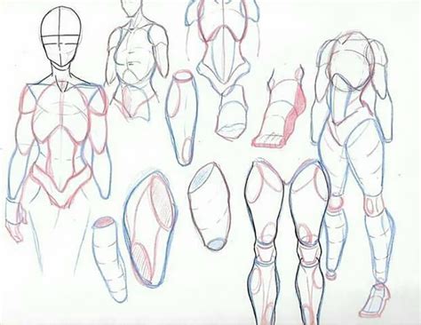 Female Body Anatomy For Artist