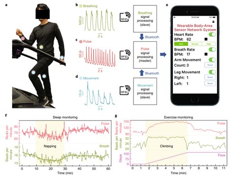 A Wireless Body Area Sensor Network Based On Stretchable Passive Tags Flexible Electronics