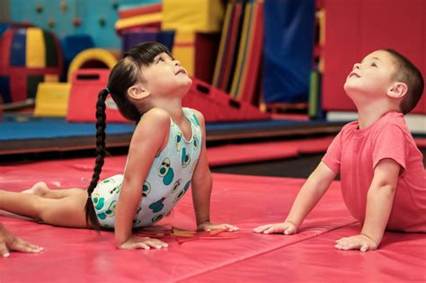 Mastering The Basics Essential Skills Taught In Level 1 Gymnastics Classes Gold Medal