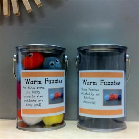 Warm Fuzzy Behavior Incentives For Classroom Management