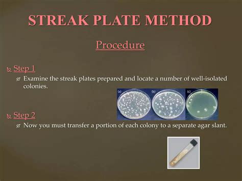 The Streak Plate Method Pptx