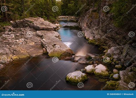 Beautiful Shot Of A Rocky River Surrounded By Green Trees Stock Image Image Of Landscape