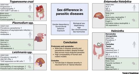 Immunological Clues To Sex Differences In Parasitic Diseases Trends In