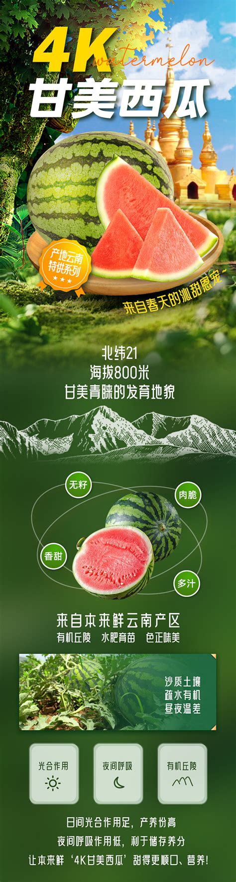 4k甘美西瓜 详情图