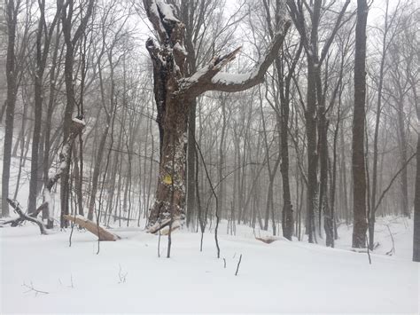 Snow Album On Imgur Snow Album On Imgur