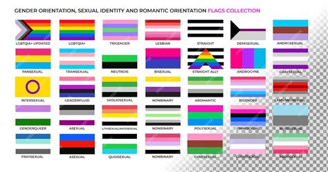 Free Psd Flat Gender Orientation Sexual Identity And Romantic