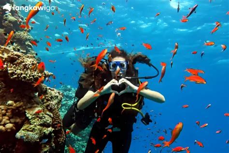 Langkawi Snorkeling Packages Pulau Payar Marine Park 2024
