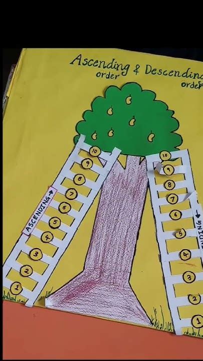 Ascending Descending Orderytshorts Trending Youtube