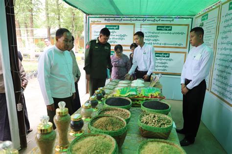 စစ်ကိုင်းတိုင်းဒေသကြီးဝန်ကြီးချုပ် ဦးမြတ်ကျော် တိုင်းဒေသကြီးအတွင်း နွေစပါးသီးနှံ လျာထားဧက ရာနှုန